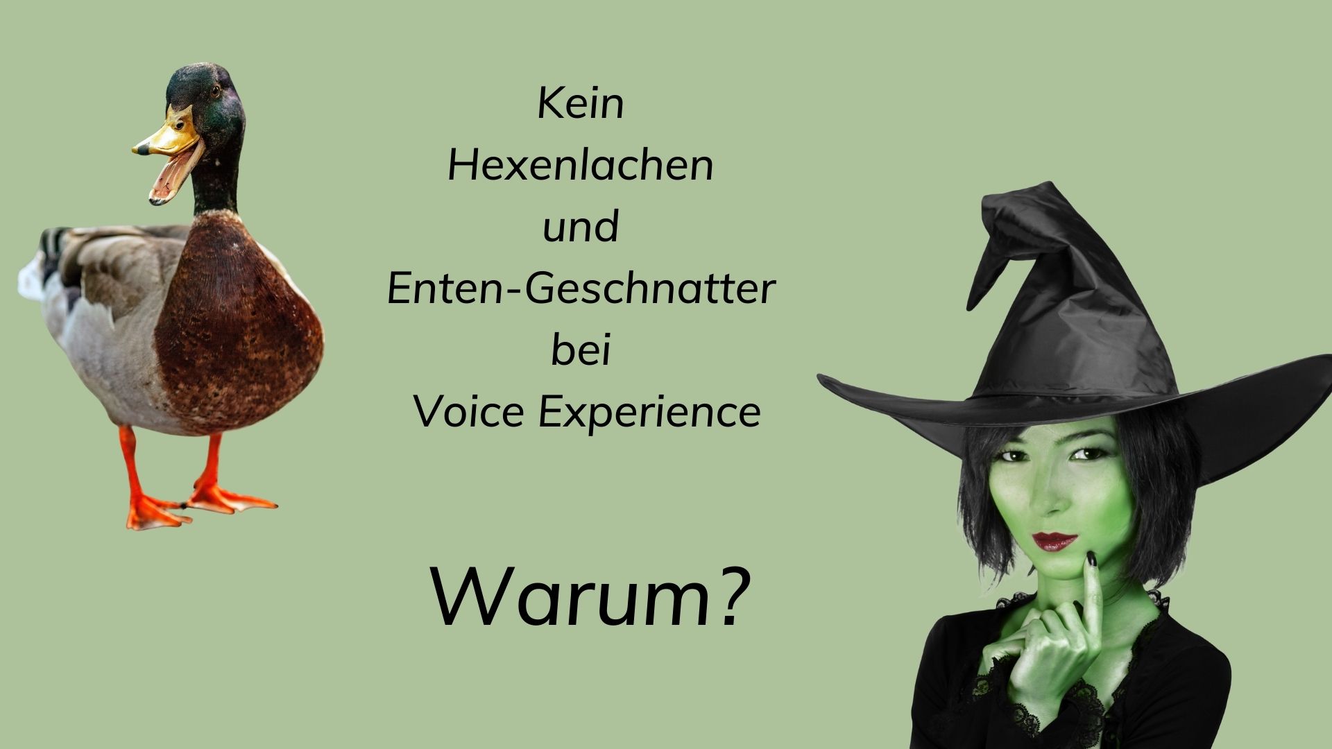 Was ist Twang? - Voice Experience